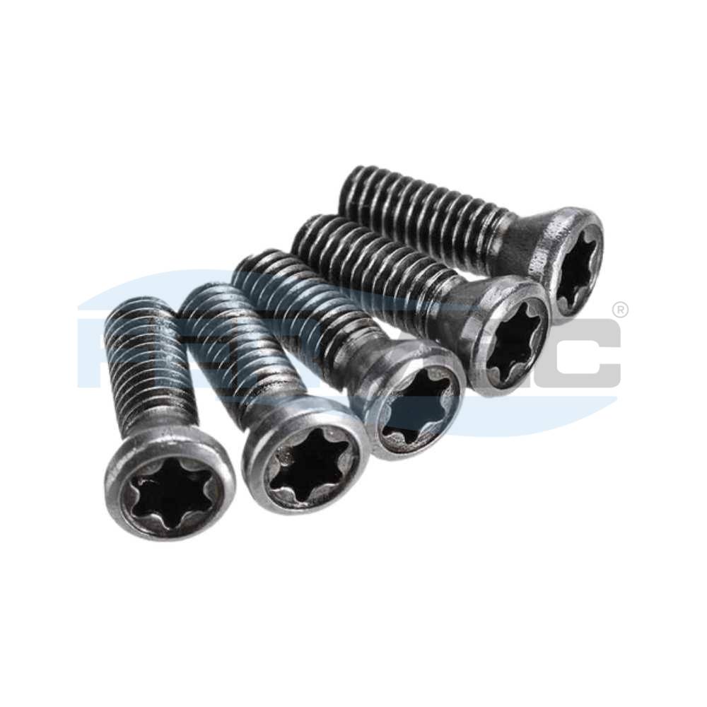 Parafuso Torx - Parafuso Torx - Fermec (11) 3978-5515