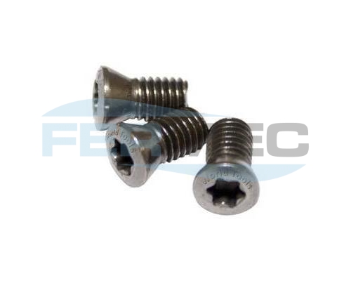 Parafuso Torx M5X11-T20 - Parafuso Torx - Fermec